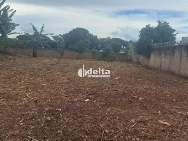 Terreno / Lote para Venda em Uberlândia/MG Jardim Europa