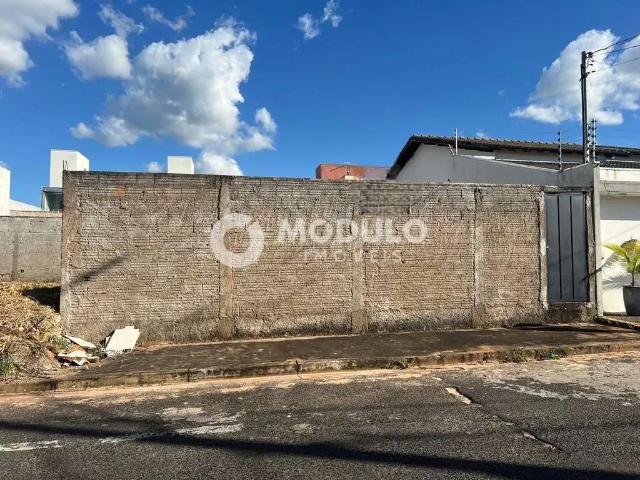 Terreno / Lote para Venda em Uberlândia/MG Jardim Europa