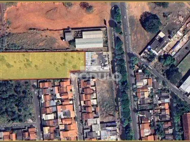 Terreno / Lote para Venda em Uberlândia/MG Jardim Europa