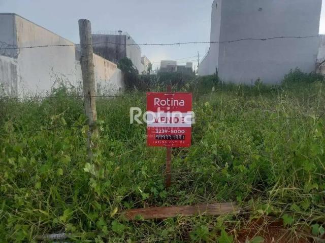 Terreno / Lote para Venda em Uberlândia/MG Jardim Europa