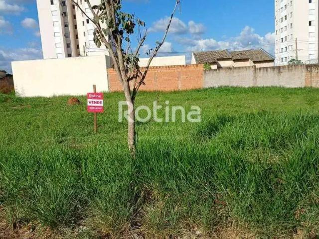 Terreno / Lote para Venda em Uberlândia/MG Jardim Holanda