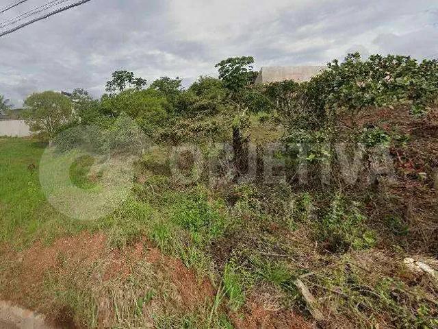 Terreno / Lote para Venda em Uberlândia/MG Jardim Inconfidência