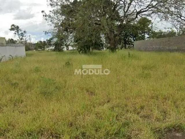 Terreno / Lote para Venda em Uberlândia/MG Jardim Inconfidência