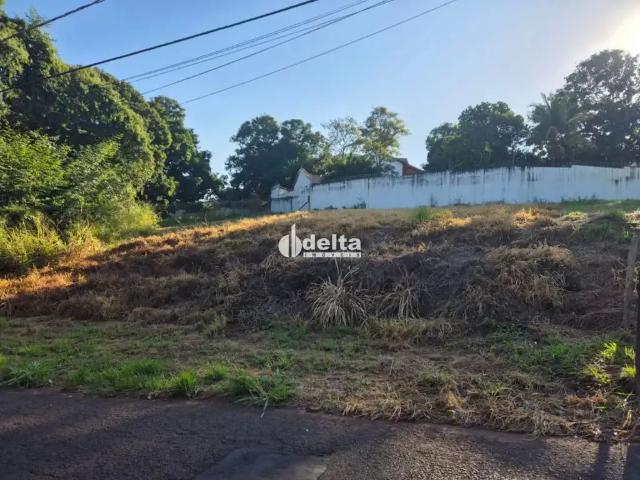 Terreno / Lote para Venda em Uberlândia/MG Jardim Inconfidência