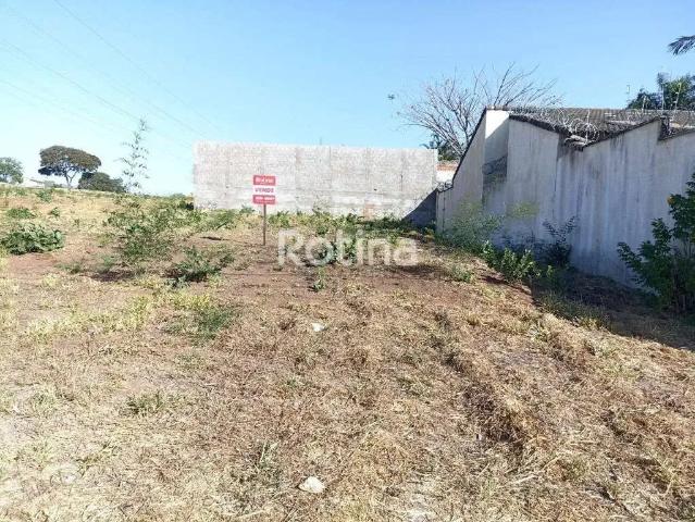 Terreno / Lote para Venda em Uberlândia/MG Jardim Inconfidência
