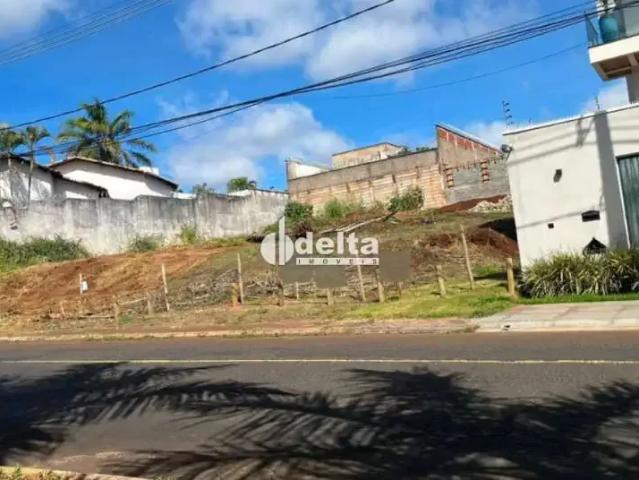 Terreno / Lote para Venda em Uberlândia/MG Jardim Inconfidência