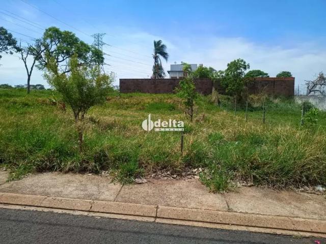 Terreno / Lote para Venda em Uberlândia/MG Jardim Inconfidência