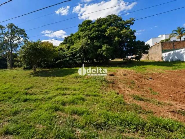 Terreno / Lote para Venda em Uberlândia/MG Jardim Inconfidência