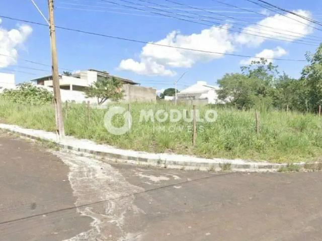 Terreno / Lote para Venda em Uberlândia/MG Jardim Inconfidência
