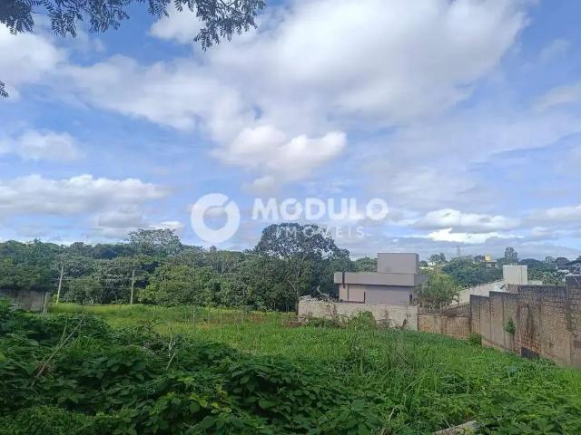 Terreno / Lote para Venda em Uberlândia/MG Jardim Inconfidência