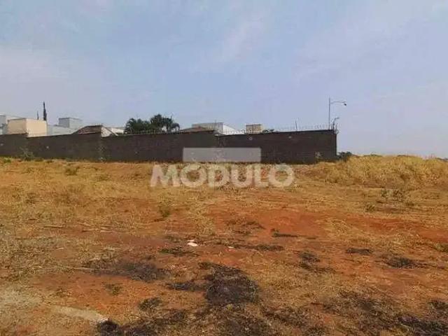 Terreno / Lote para Venda em Uberlândia/MG Jardim Inconfidência