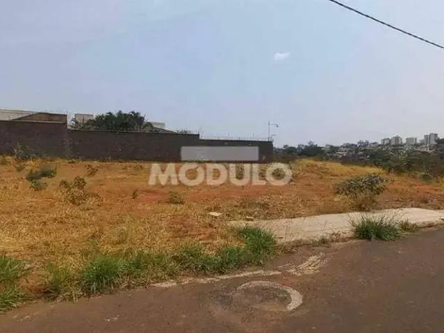 Terreno / Lote para Venda em Uberlândia/MG Jardim Inconfidência
