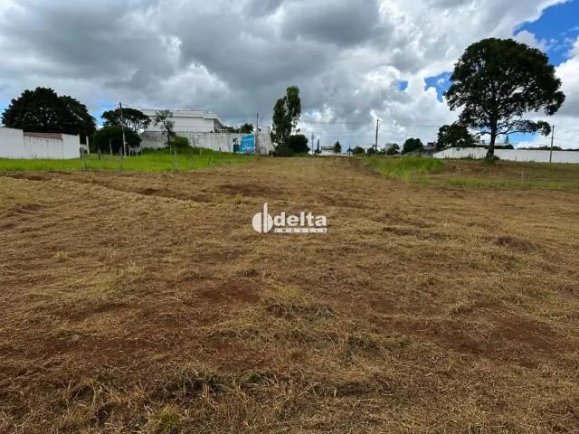 Terreno / Lote para Venda em Uberlândia/MG Jardim Inconfidência