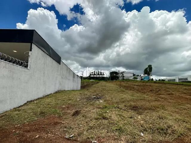 Terreno / Lote para Venda em Uberlândia/MG Jardim Inconfidência