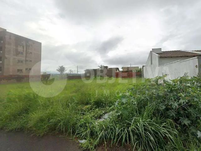 Terreno / Lote para Venda em Uberlândia/MG Jardim Ipanema