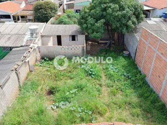 Terreno / Lote para Venda em Uberlândia/MG Jardim Ipanema I