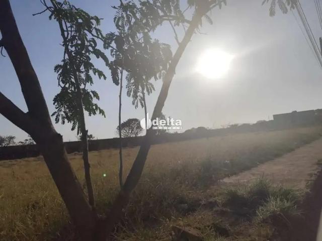 Terreno / Lote para Venda em Uberlândia/MG Jardim Ipanema I