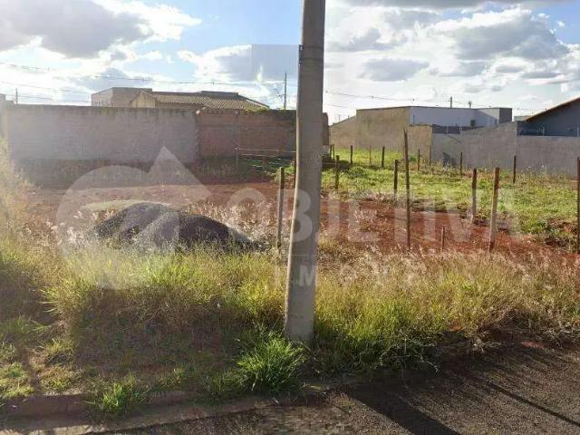 Terreno / Lote para Venda em Uberlândia/MG Jardim Ipanema I