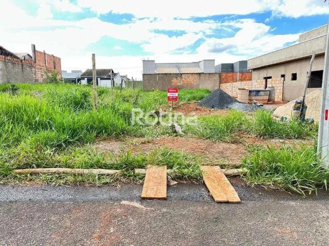 Terreno / Lote para Venda em Uberlândia/MG Jardim Ipanema I