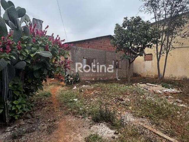 Terreno / Lote para Venda em Uberlândia/MG Jardim Ipanema I 2 Quartos