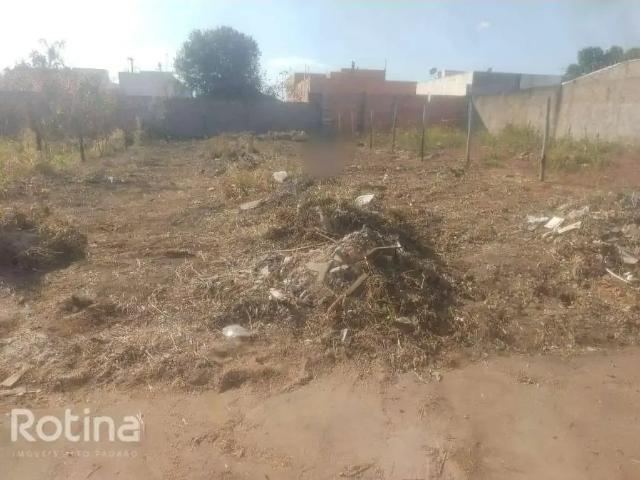 Terreno / Lote para Venda em Uberlândia/MG Jardim Ipanema I