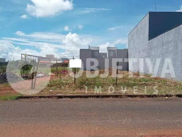 Terreno / Lote para Venda em Uberlândia/MG Jardim Ipanema