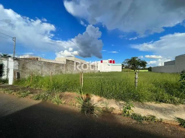 Terreno / Lote para Venda em Uberlândia/MG Jardim Karaíba