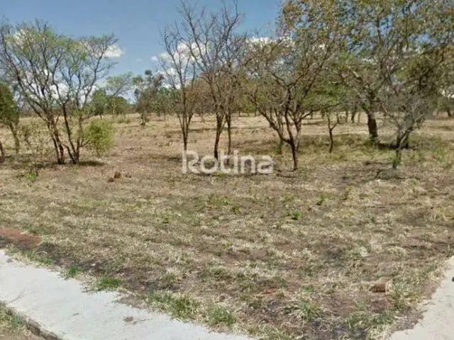 Terreno / Lote para Venda em Uberlândia/MG Jardim Karaíba