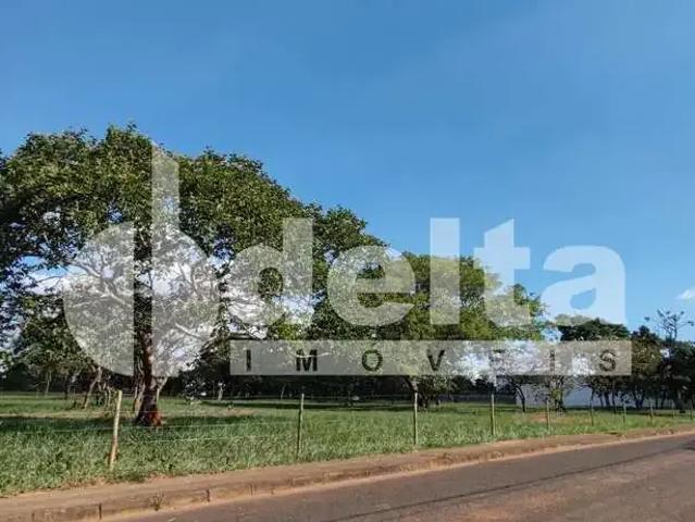 Terreno / Lote para Venda em Uberlândia/MG Jardim Karaíba