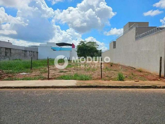 Terreno / Lote para Venda em Uberlândia/MG Jardim Karaíba