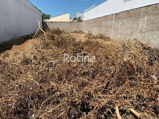 Terreno / Lote para Venda em Uberlândia/MG Jardim Karaíba