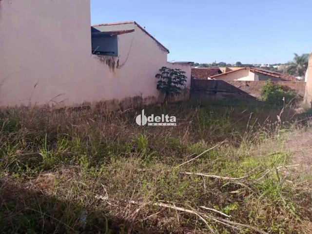 Terreno / Lote para Venda em Uberlândia/MG Jardim Patrícia