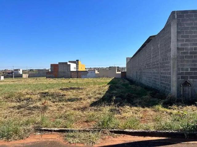Terreno / Lote para Venda em Uberlândia/MG Jardim Sul
