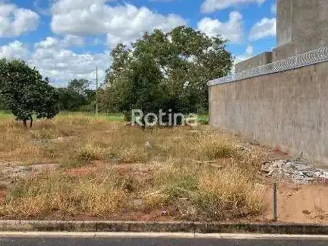 Terreno / Lote para Venda em Uberlândia/MG Jardim Sul