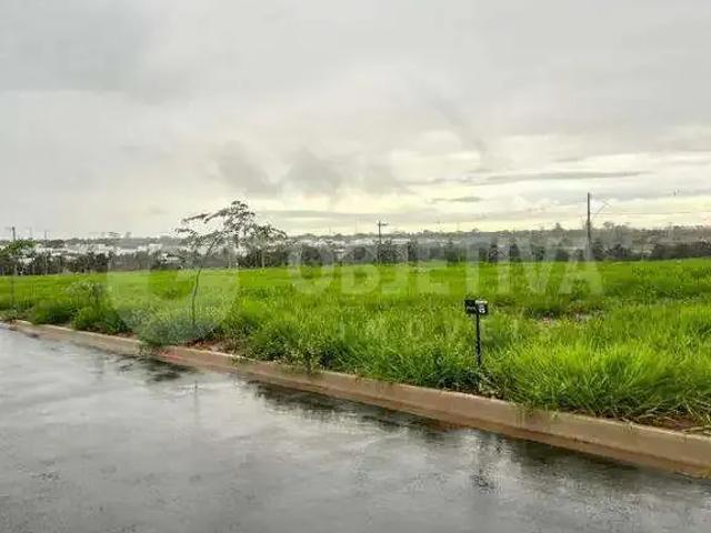 Terreno / Lote para Venda em Uberlândia/MG Jardim Sul