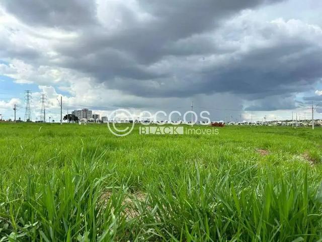 Terreno / Lote para Venda em Uberlândia/MG Jardim Sul