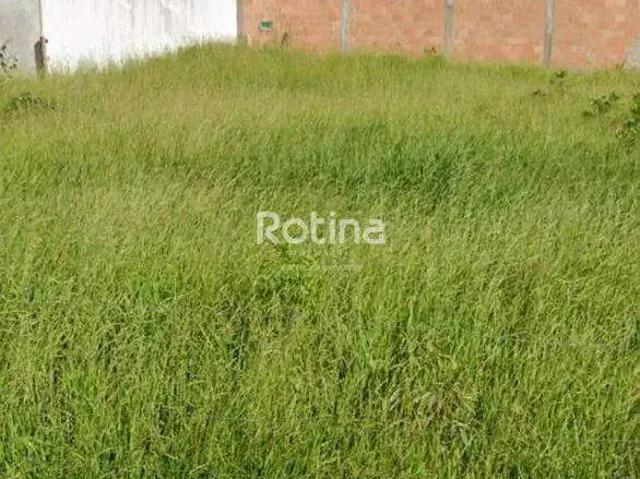 Terreno / Lote para Venda em Uberlândia/MG Jardim Sul