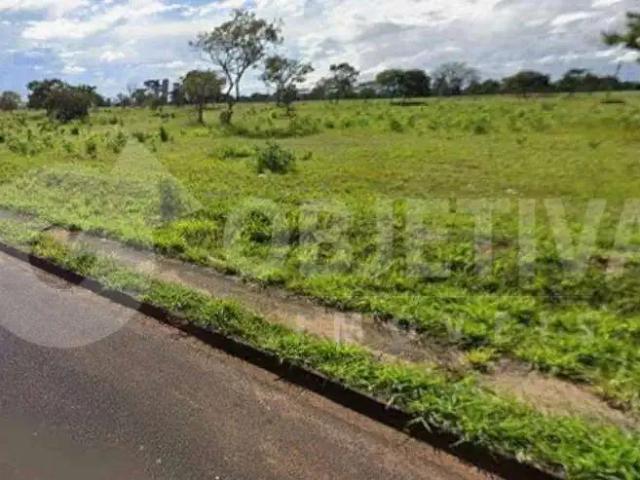 Terreno / Lote para Venda em Uberlândia/MG Jardim Sul