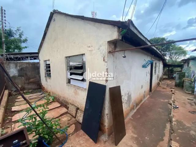 Terreno / Lote para Venda em Uberlândia/MG Osvaldo Rezende 2 Quartos