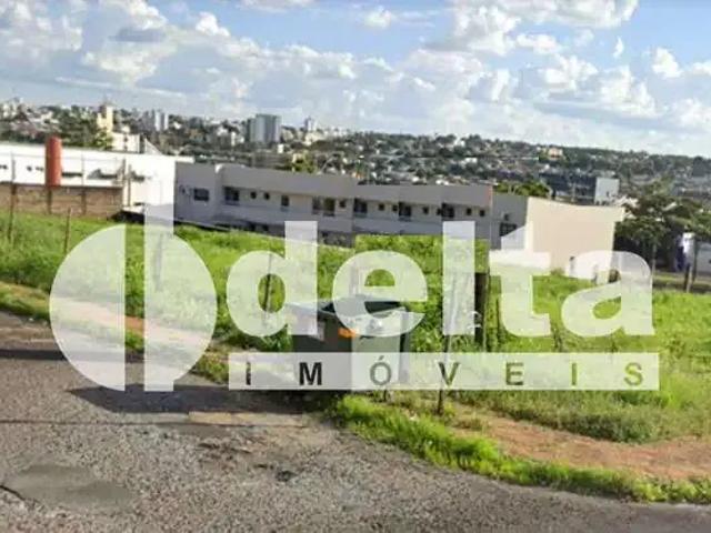 Terreno / Lote para Venda em Uberlândia/MG Osvaldo Rezende