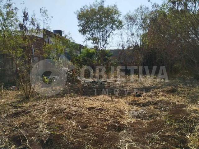 Terreno / Lote para Venda em Uberlândia/MG Osvaldo Rezende