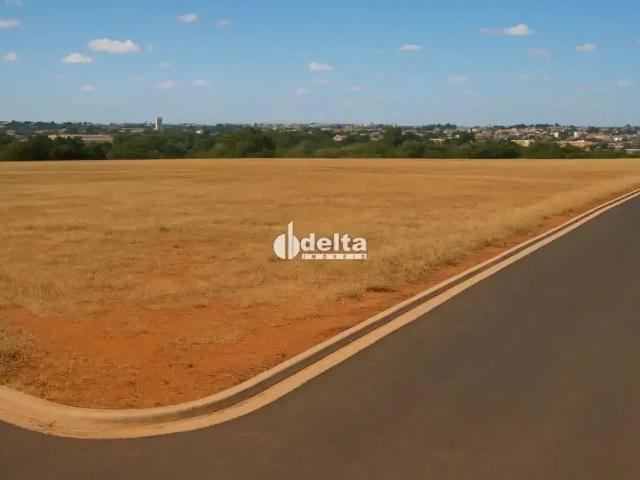 Terreno / Lote para Venda em Uberlândia/MG Loteamento Centro Empresarial Leste II