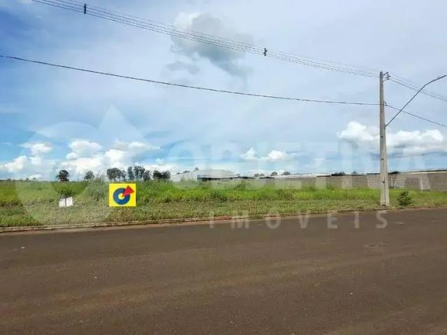 Terreno / Lote para Venda em Uberlândia/MG Loteamento Centro Empresarial Leste II