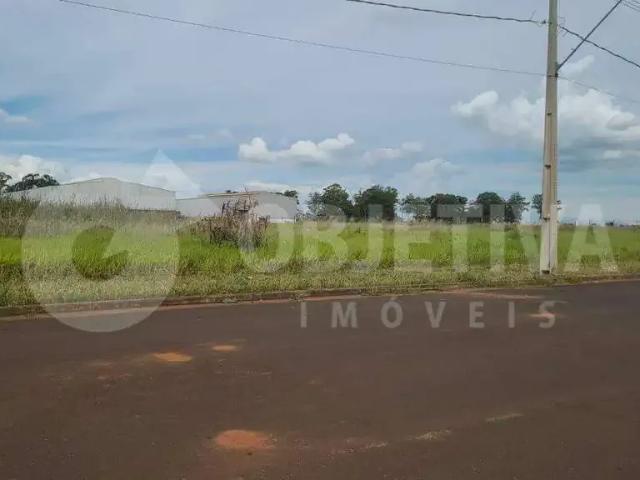 Terreno / Lote para Venda em Uberlândia/MG Loteamento Centro Empresarial Leste II