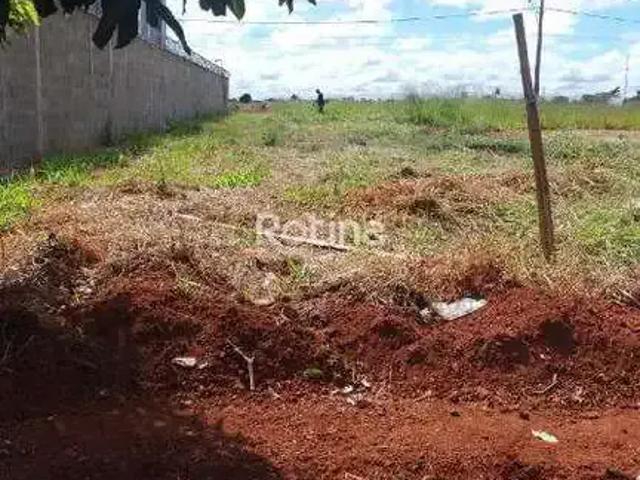 Terreno / Lote para Venda em Uberlândia/MG Loteamento Portal do Vale II