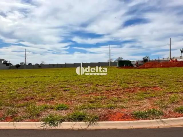 Terreno / Lote para Venda em Uberlândia/MG Loteamento Portal do Vale II