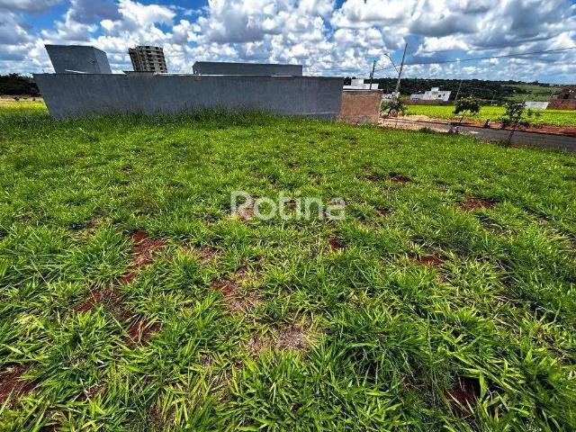 Terreno / Lote para Venda em Uberlândia/MG Loteamento Portal do Vale II
