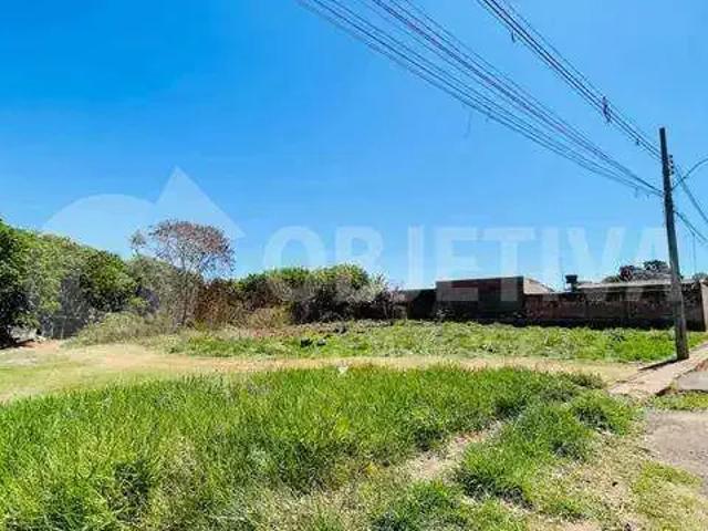 Terreno / Lote para Venda em Uberlândia/MG Lagoinha
