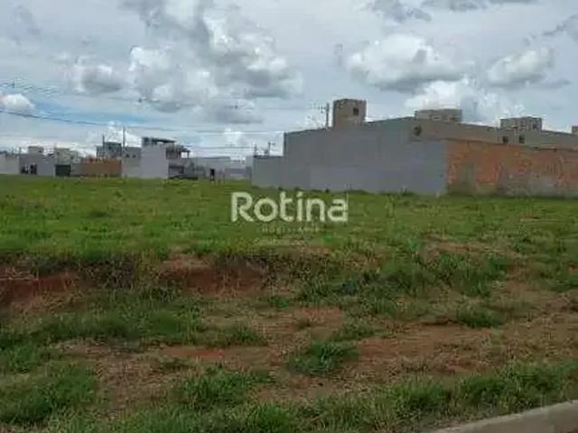 Terreno / Lote para Venda em Uberlândia/MG Laranjeiras