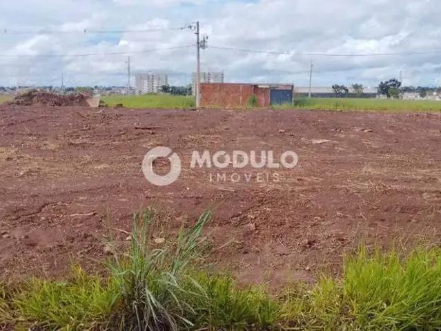 Terreno / Lote para Venda em Uberlândia/MG Laranjeiras